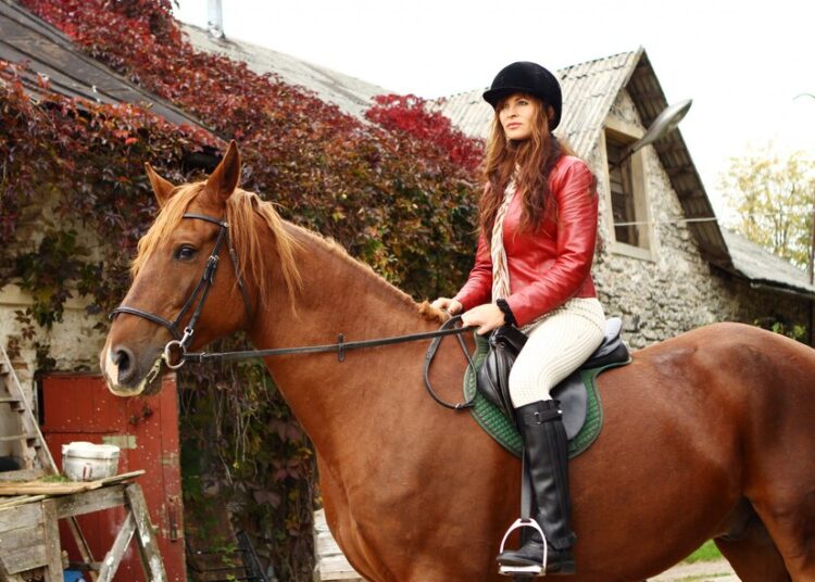 Equestrian Elegance: Top Horse Shows Across Europe - Horse & Dogs ...